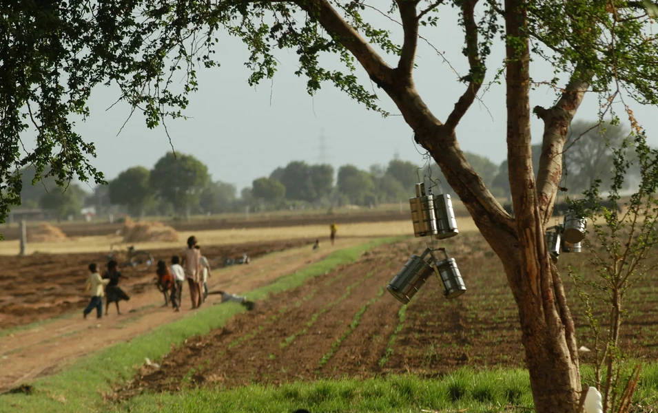 Engineer’s shift to natural farming earns over ₹10 lakh yearly