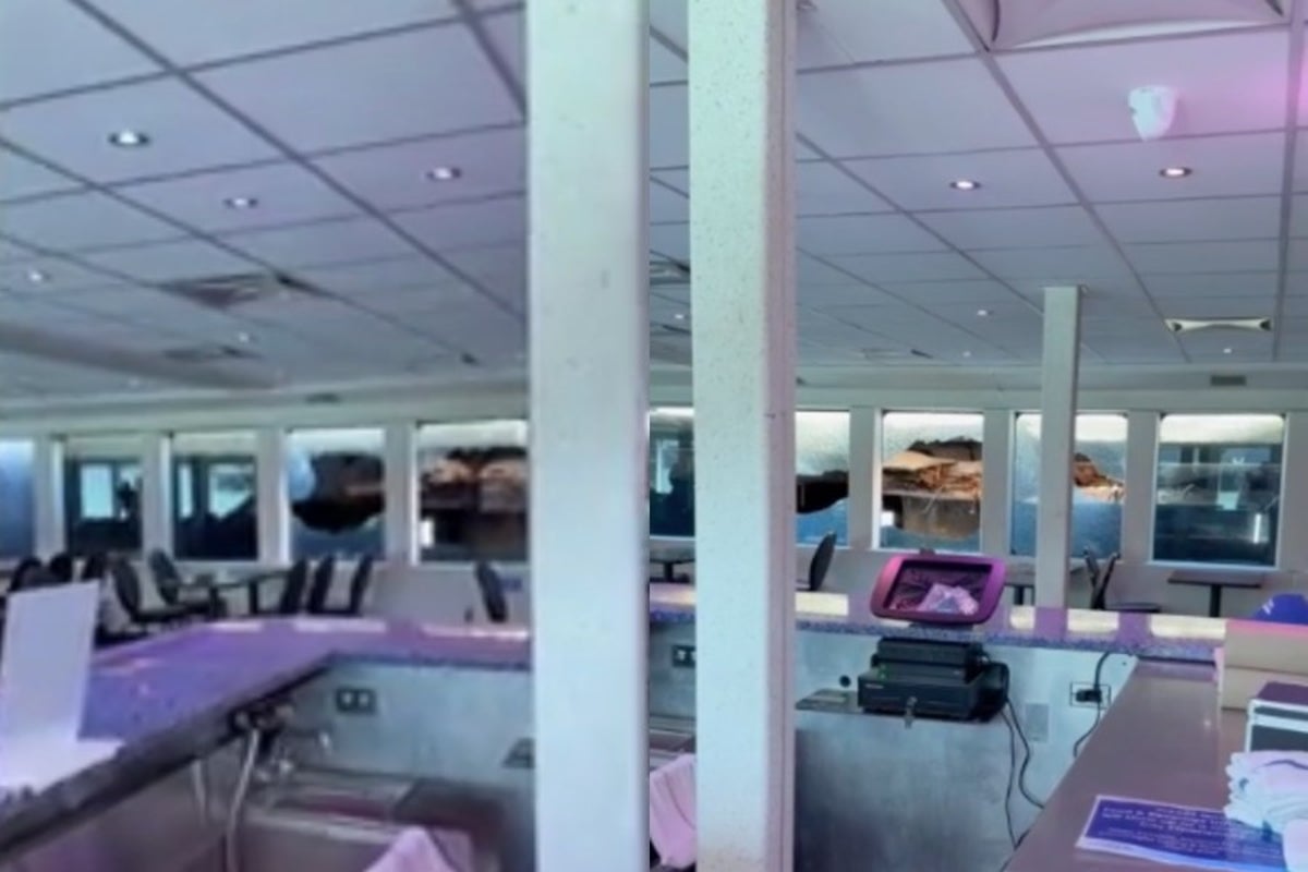 Passengers describe 'traumatic' moments after ferry crashes into pier