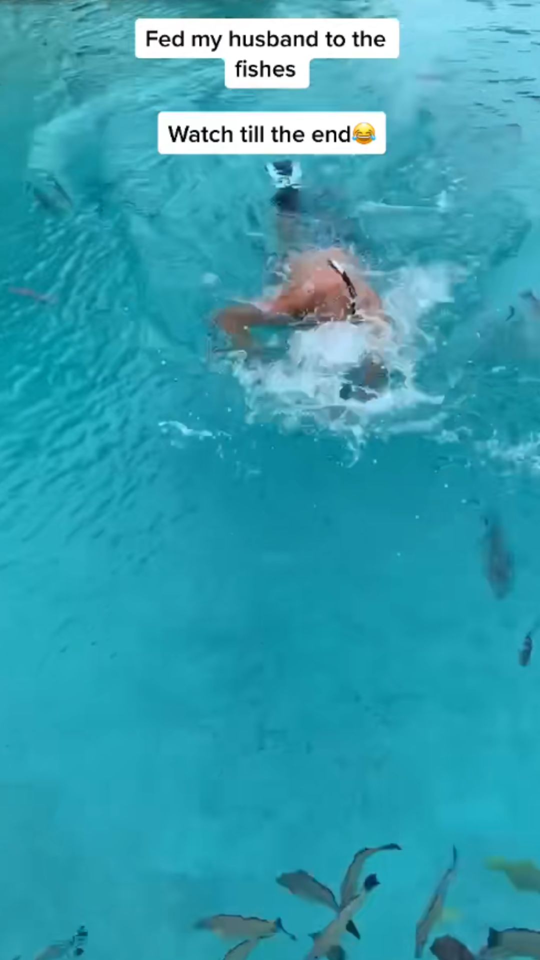 Funny couple prank: Hubby gets covered in fish food
