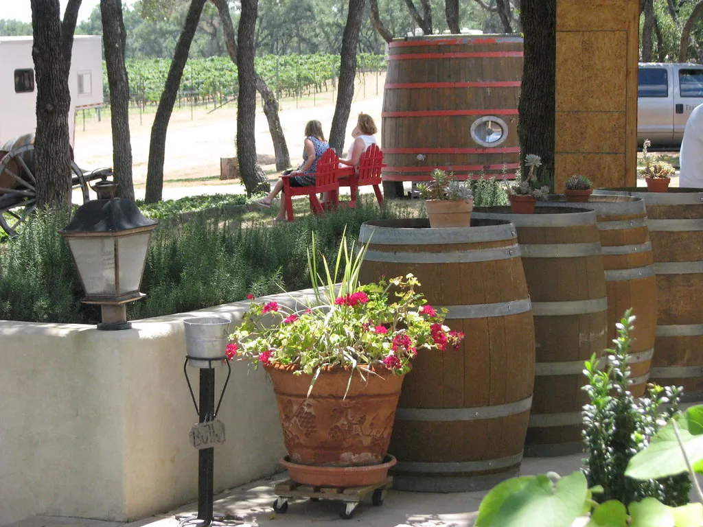 A journey through Texas Hill Country: The sustainable vineyards you ...
