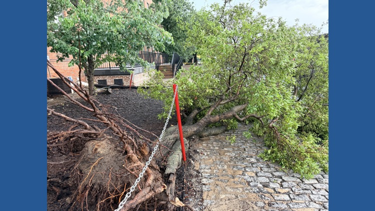 Photos: Strong thunderstorms cause damage in parts of central Georgia