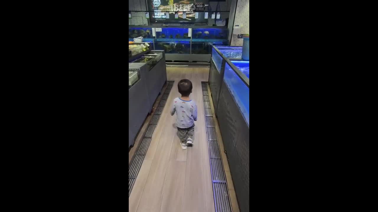 Fish jumps out of tank and startles child in Guangdong, China