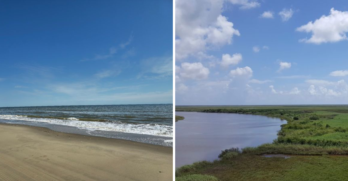 This scenic Texas wildlife refuge lets you dig for prehistoric shark ...
