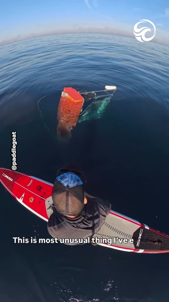 Man Thinks's He's Found US Navy Target While Paddle Boarding