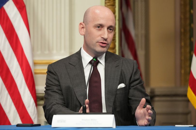 Stephen Miller bizarrely celebrates James Talarico as 'Texas' first ...