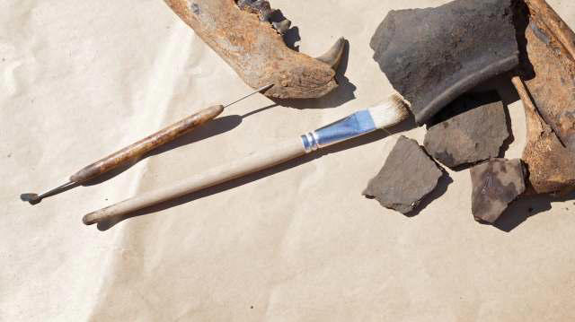 Ancient jaw discovery suggests giant reptile relative reached Europe ...