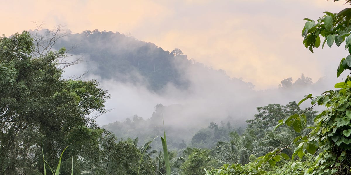 Archaeologists found evidence of ancient humans living where no one ...