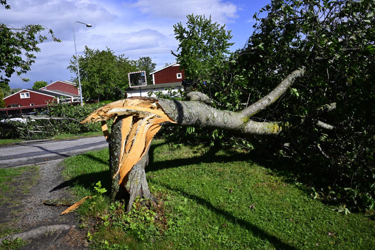 Järvaveckan stänger på grund av kraftiga vindar