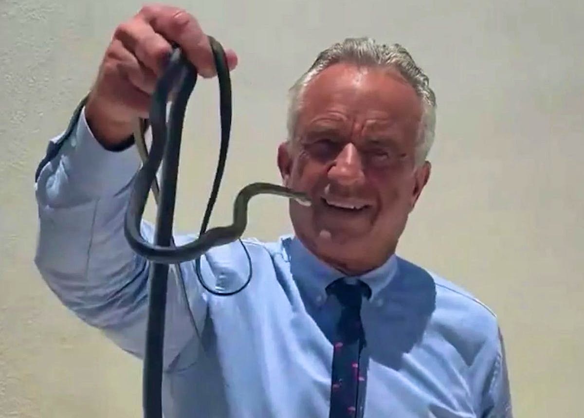 Robert Kennedy Jr. attrape des serpents et se fait mordre