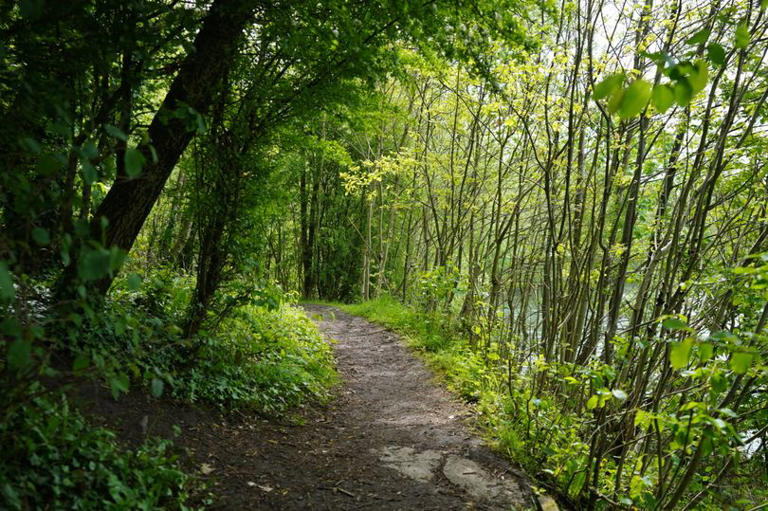 The Greater Manchester park where you can hire kayaks, paddleboards and ...