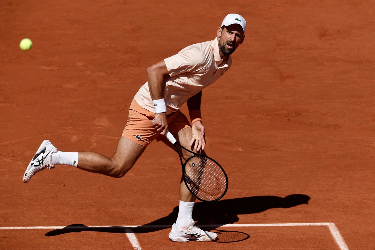 Djokovic battles heat and home hope Royer in French Open second round