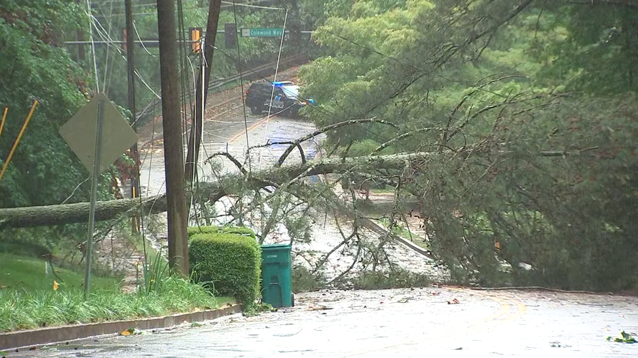 Heavy rain raises concerns about falling trees across metro Atlanta