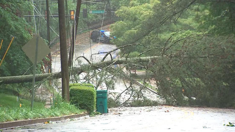 Heavy rain raises concerns about falling trees across metro Atlanta