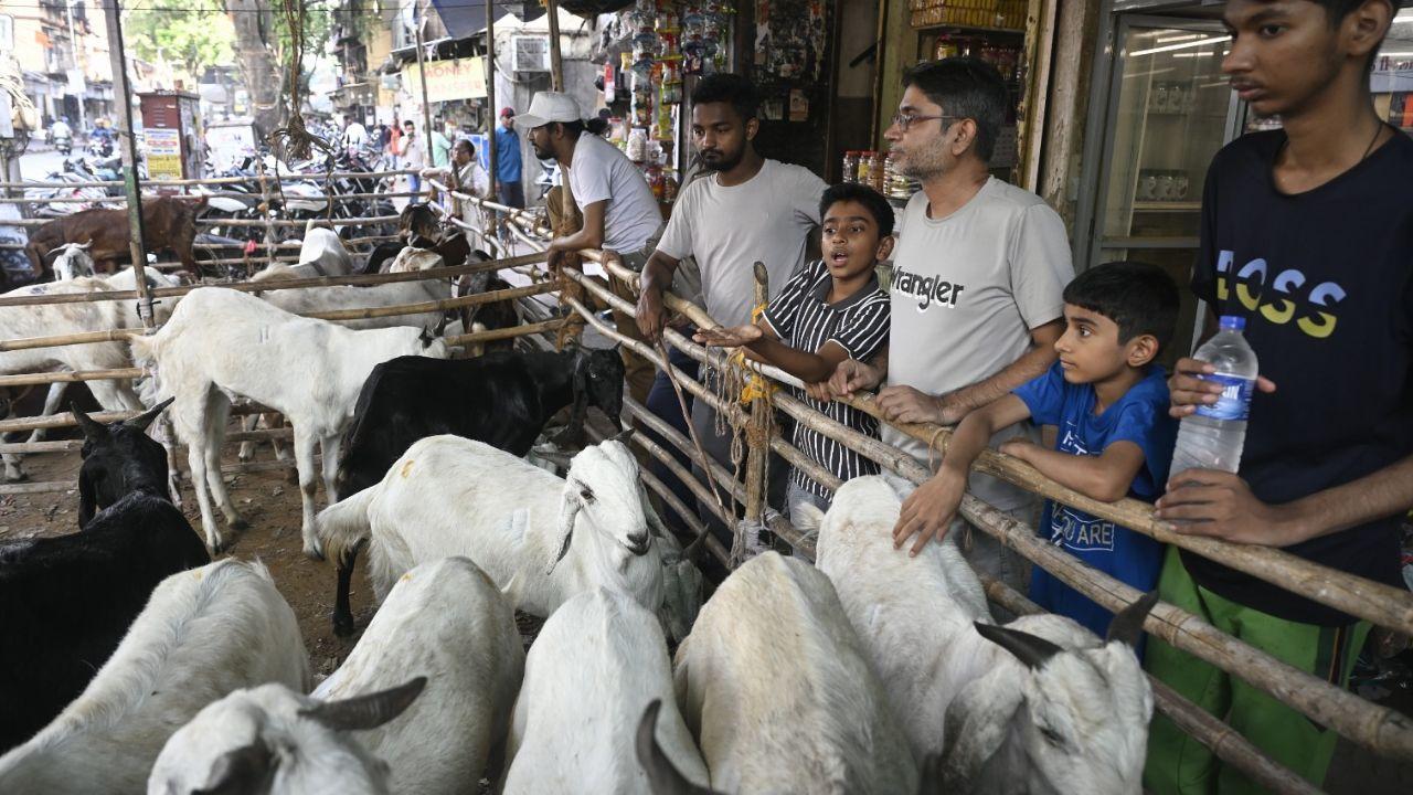 IN PHOTOS Mumbai goat markets bustle ahead of Eid alAdha celebrations ...