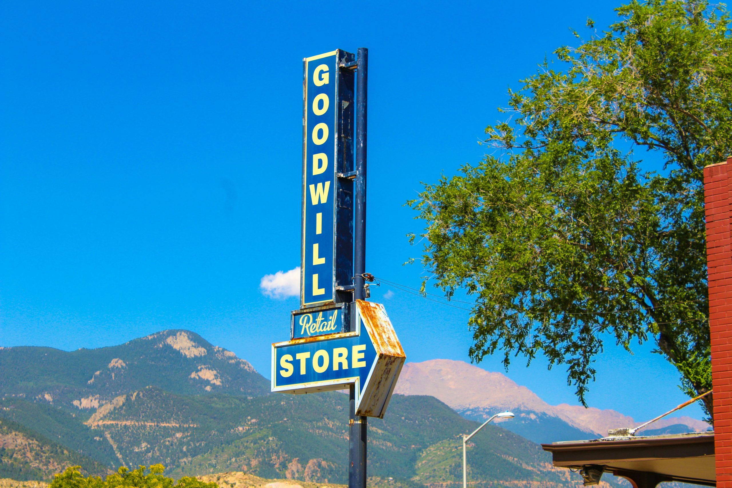 Top thrift store chains in the USA