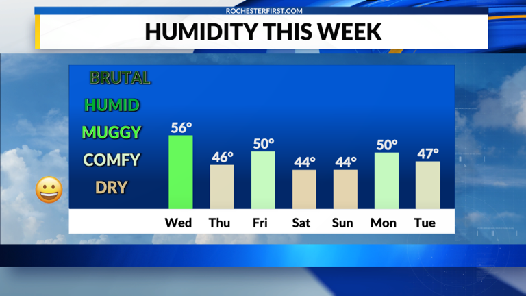 Weather forecast: Heading into a long cool down, but hold the rain