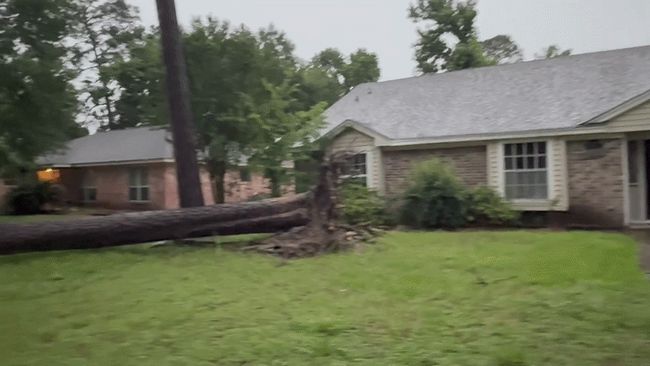 Texas home miraculously spared as storm downs huge tree