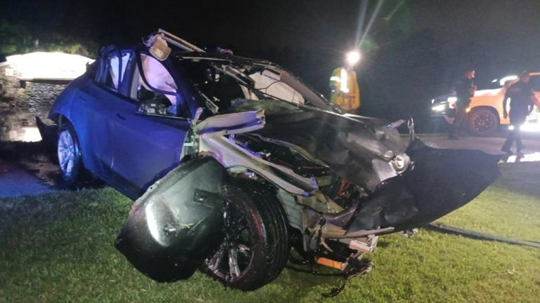 Tesla in autopilot mode sinks in pond after striking electrical box ...