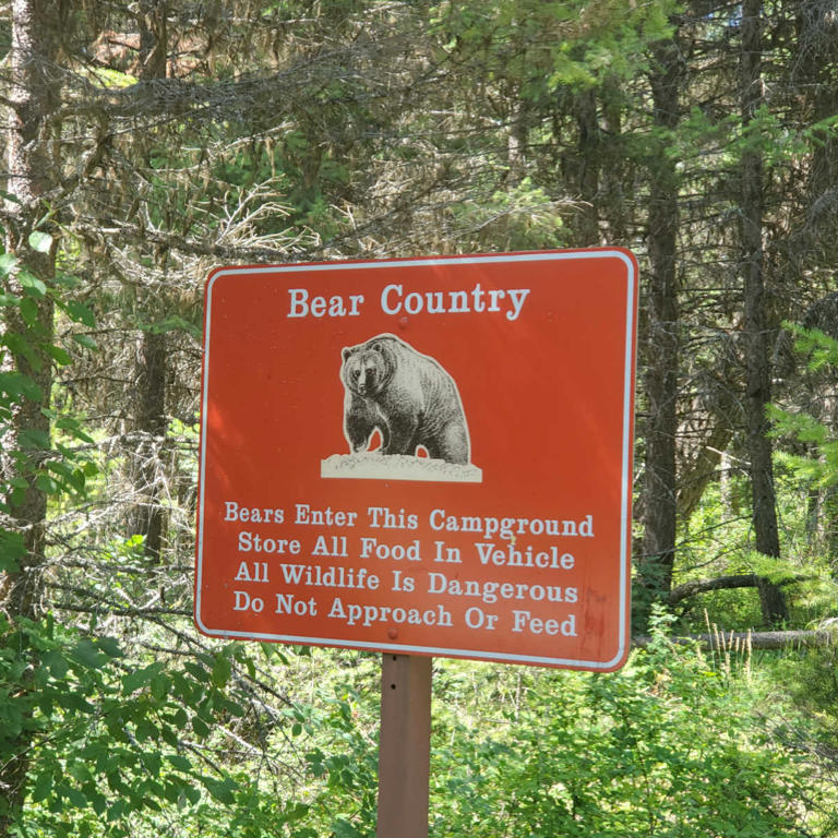 Quartz Creek Campground: Glacier's smallest and most secluded primitive ...