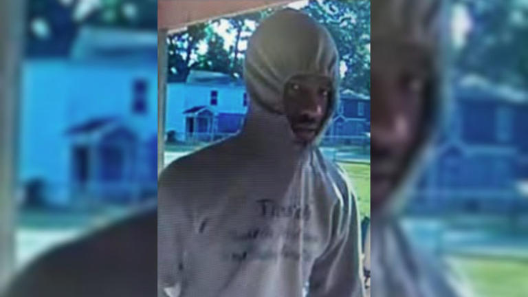 Upstate deputies seek to identify suspect accused of stealing firearms ...