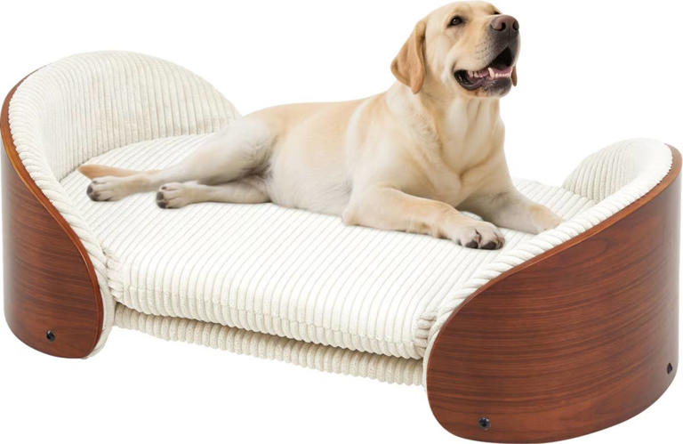 Chewy’s luxury wooden dog bed looks straight out of a design magazine