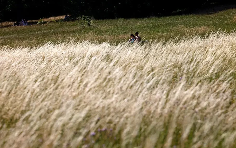 Heatwave crowds disrupt Hampstead Heath's protected wildlife ponds