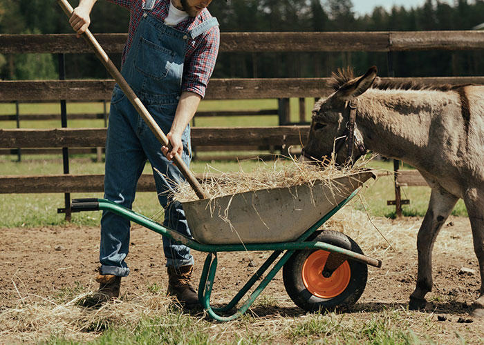 Reuse things: 30 things poor countries do so much better than rich ones