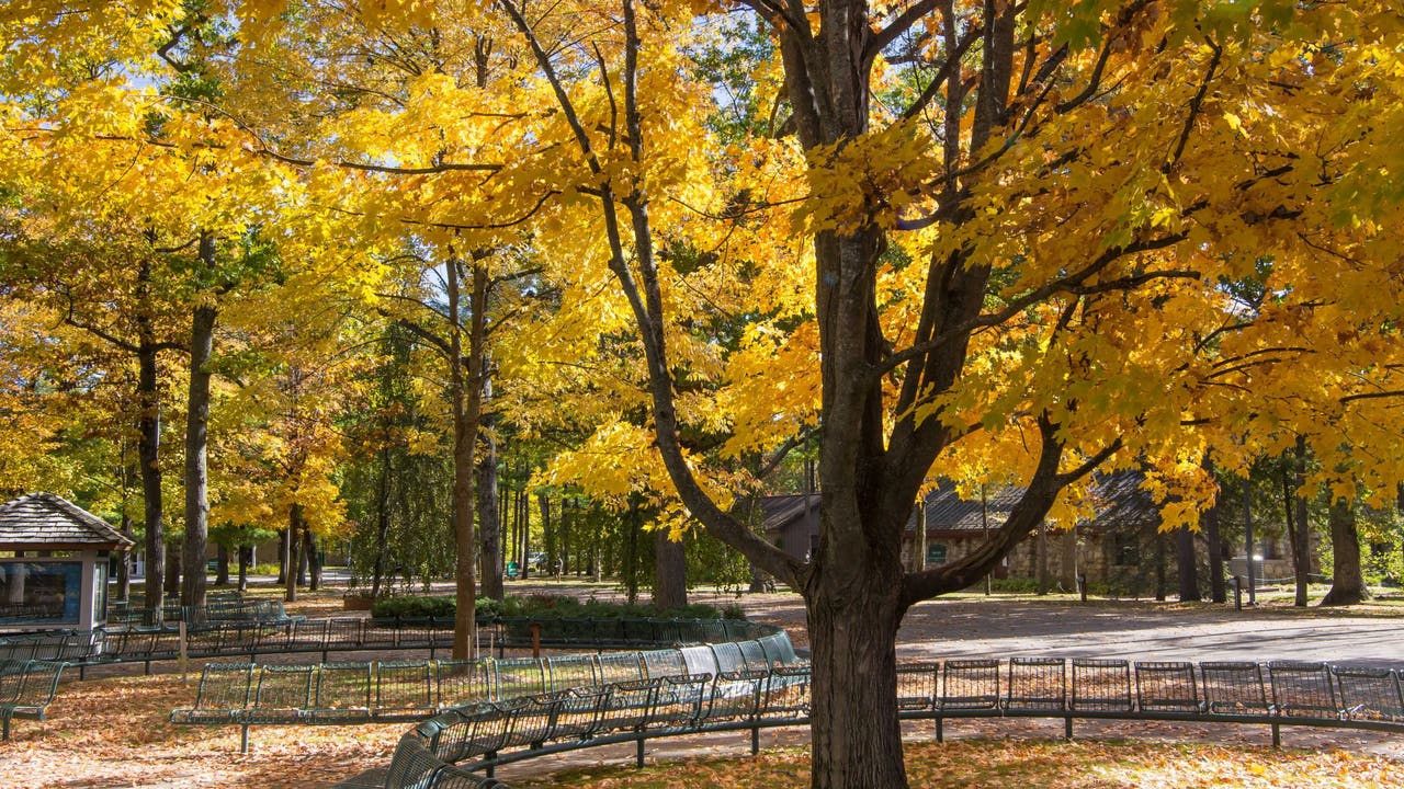 Interlochen Center for the Arts to tear down lodge once named for ...