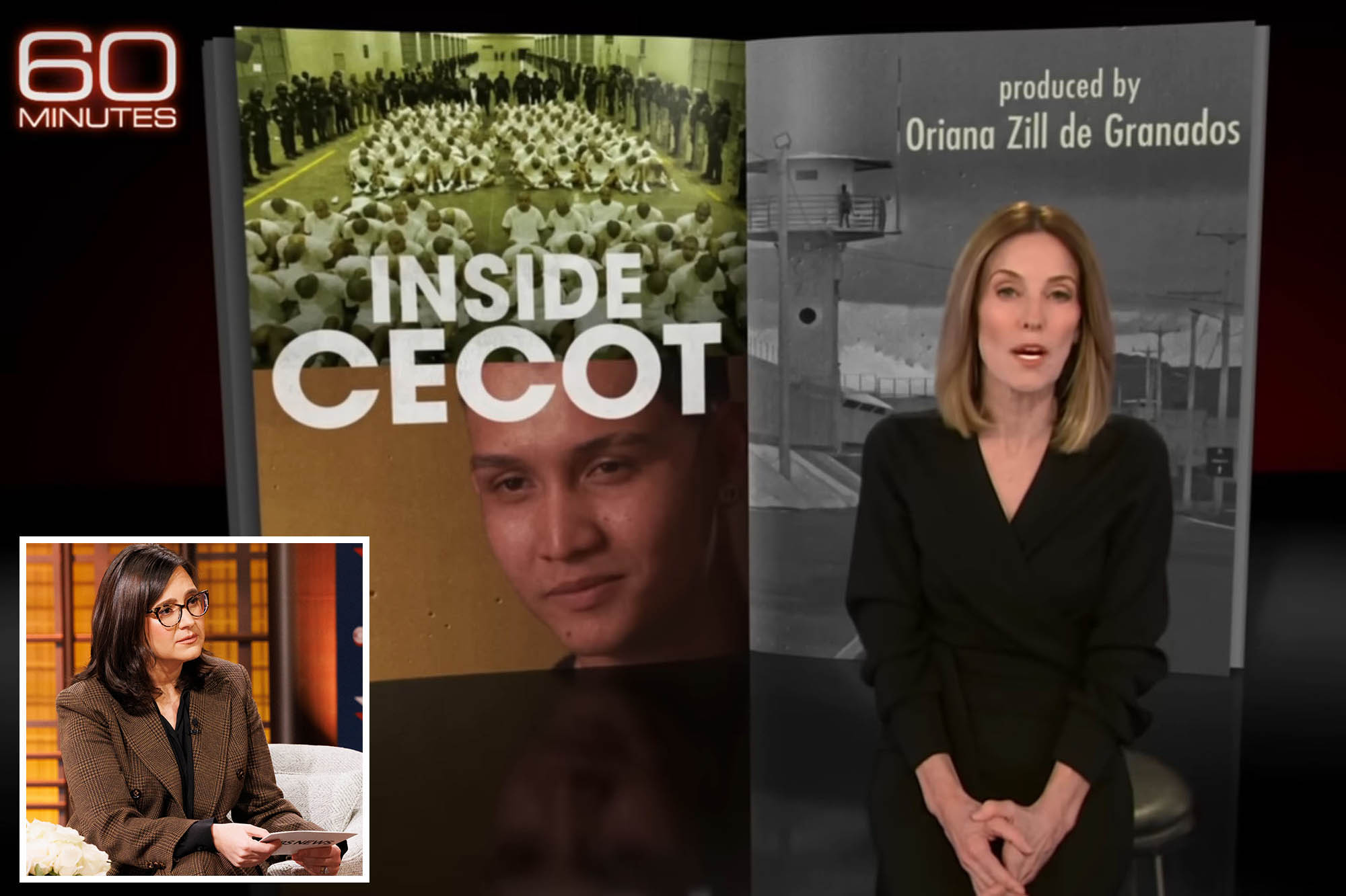 '60 Minutes' journo Sharyn Alfonsi loses CBS News contract in wake of ...