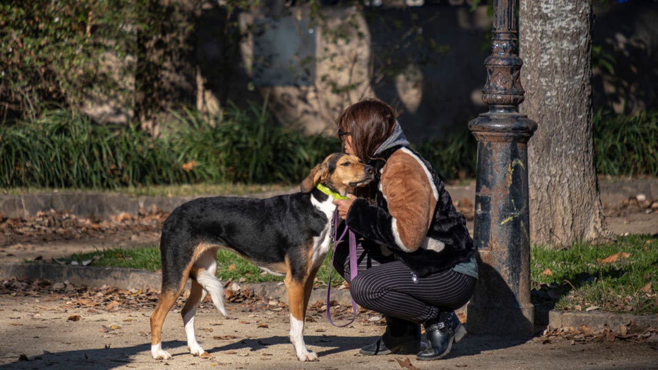 You could get $900 tax credit for owning pets in NJ: Here's how
