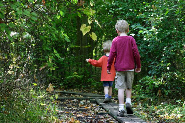 Boys found on road after being blindfolded, left in forest 125 miles away