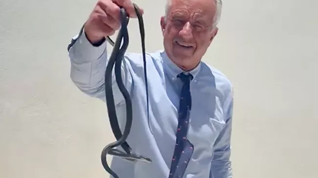 Video: RFK Jr. plays snake wrangler on Dr. Oz's Florida patio