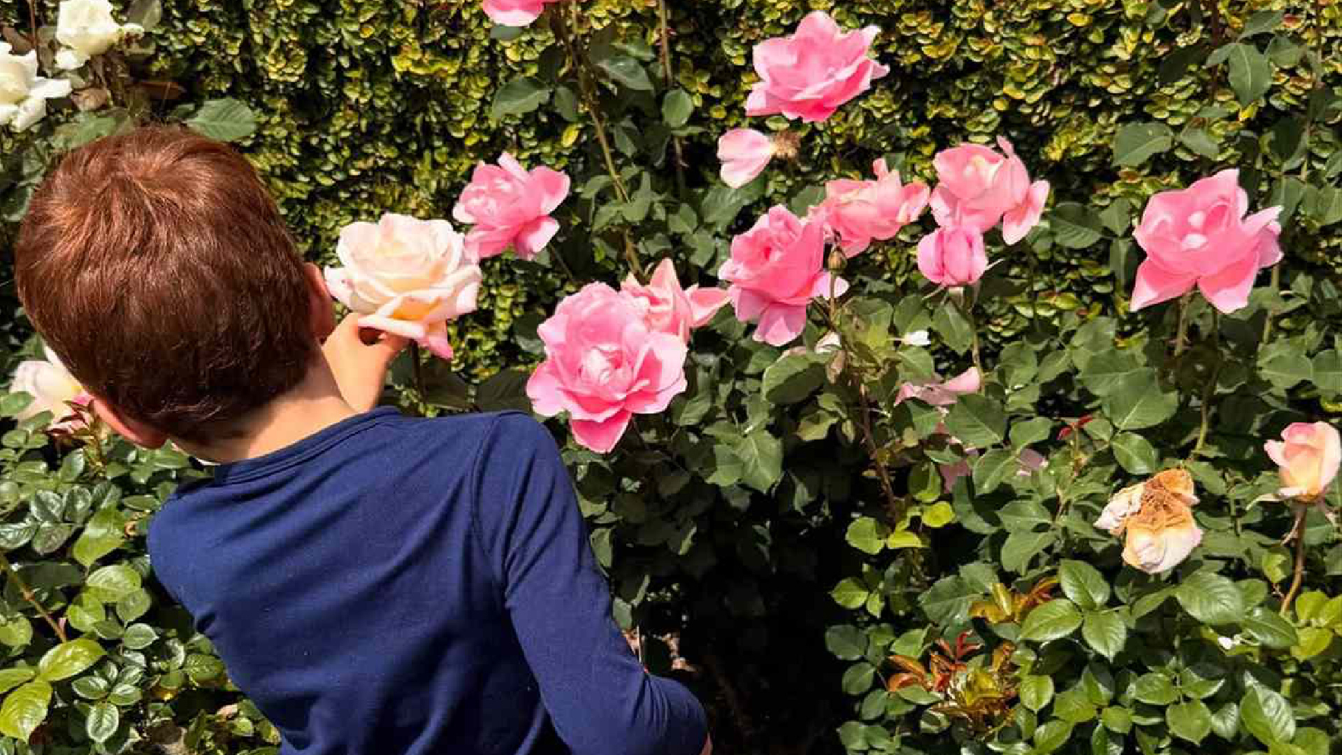 Inside Archie’s private life in California with Harry and Meghan