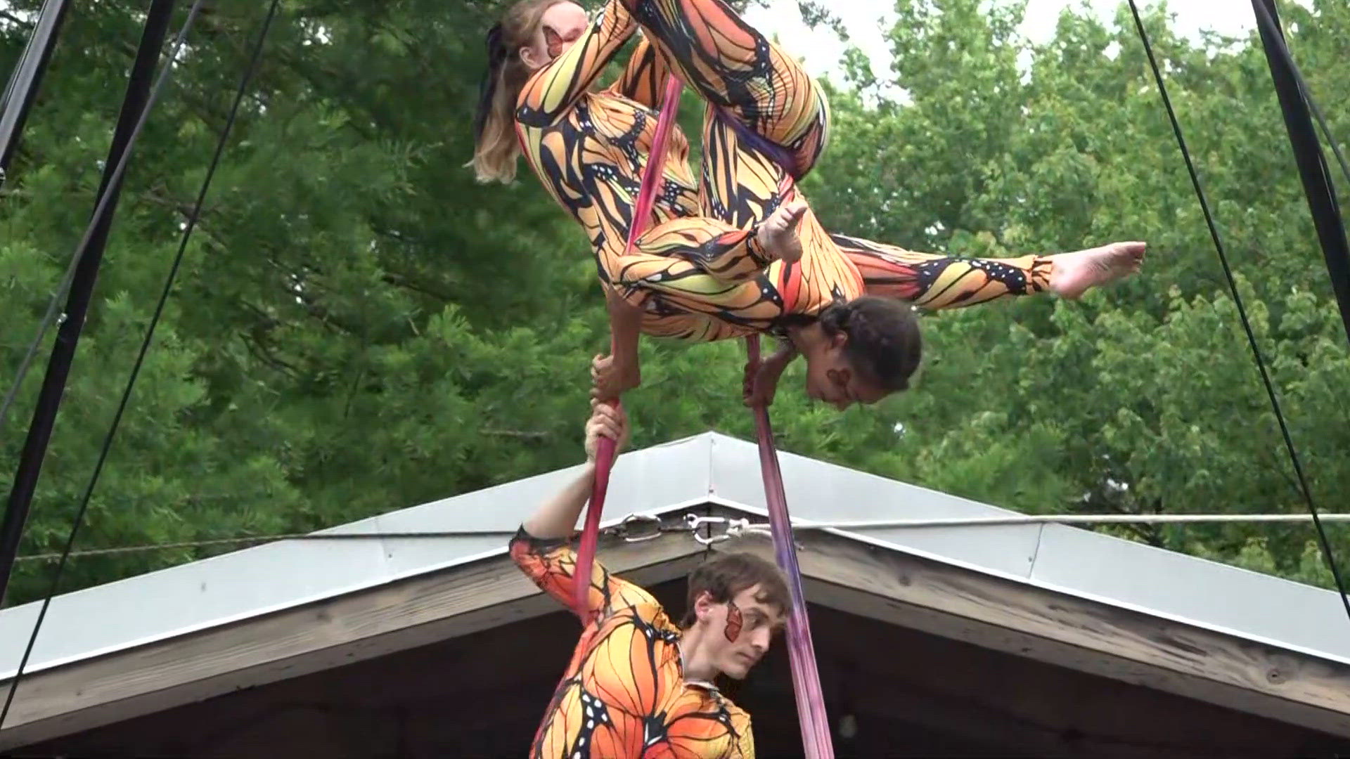Dragonfly Aerial Circus flies into Ijams Nature Center