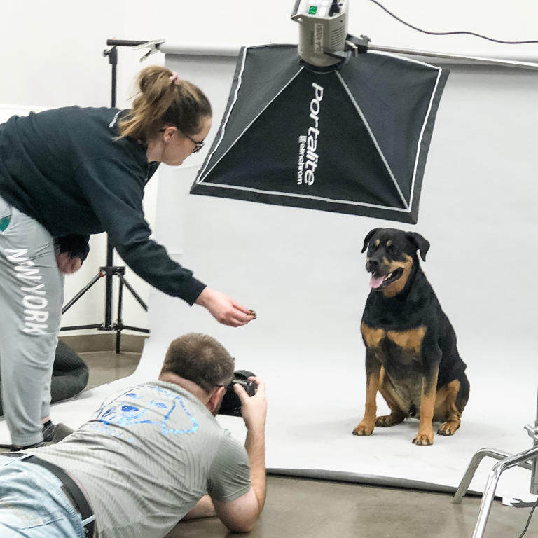 Nevada SPCA launching seventh annual calendar contest