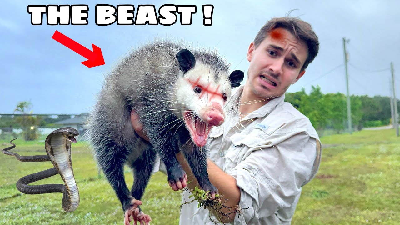 WE CAUGHT the BEAST BREAKING In My SISTERS HOUSE