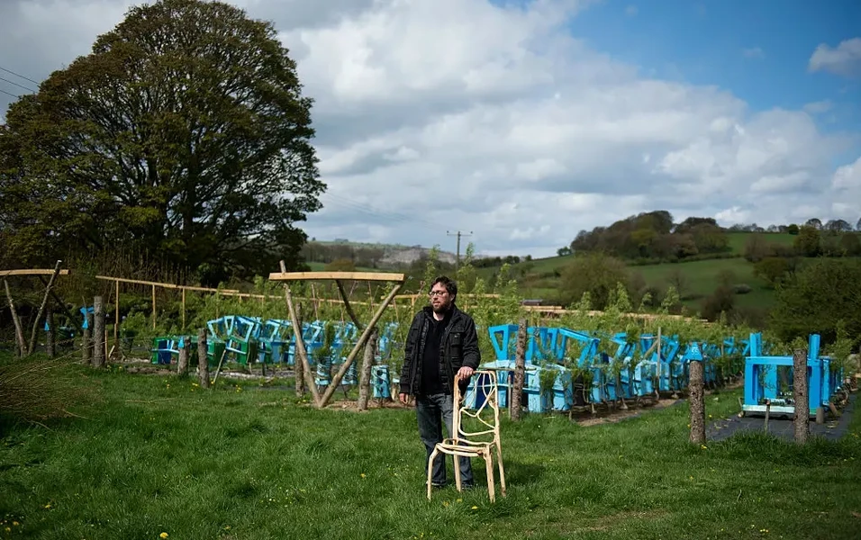 Shipwreck wood and living trees find new life in design