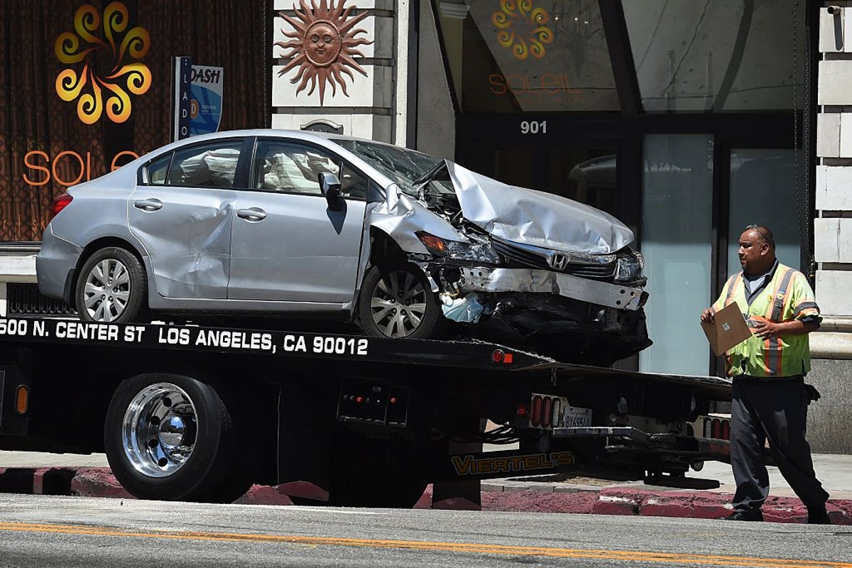 1.7 million animals killed on America’s roads in car crashes last year