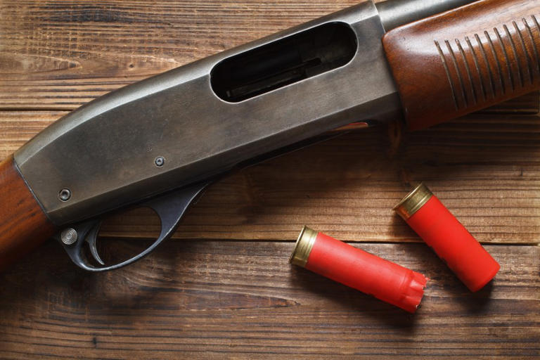 Dog accidentally fires shotgun, injuring woman at convenience store