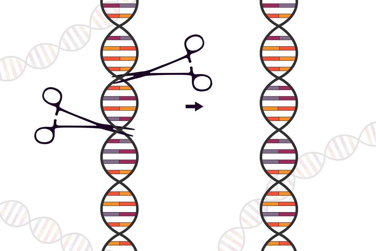 DNA 'nicks' make for safer, more precise genetic analysis