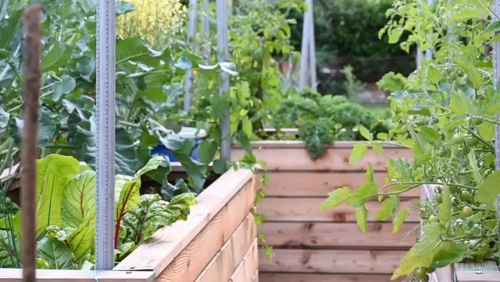 12 fruits & vegetables you should plant in May (before it’s too late)