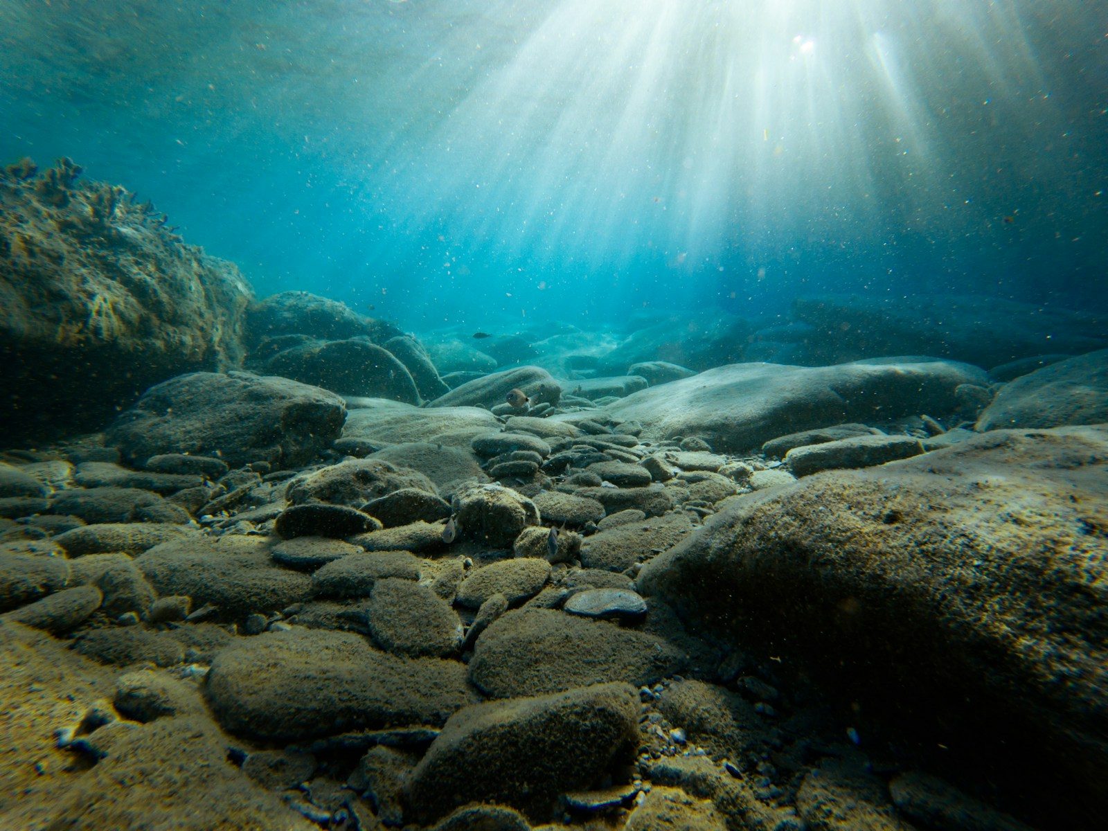 Scientists found a deadly lake hidden on the ocean floor
