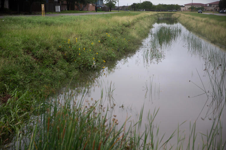 Texas storms push back date Corpus Christi could face water emergency