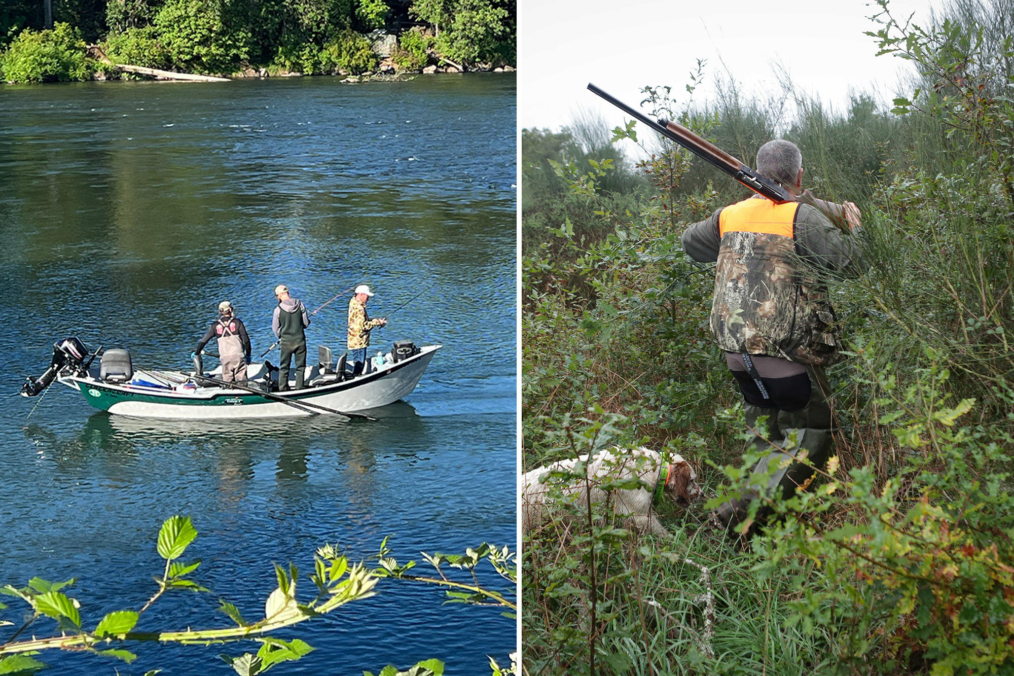 Animal cruelty ballot initiative criminalizing hunting and fishing ...