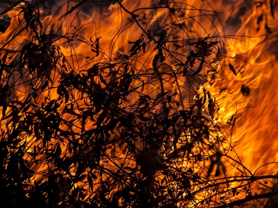 Brush fire breaks out in Santa Monica Mountains