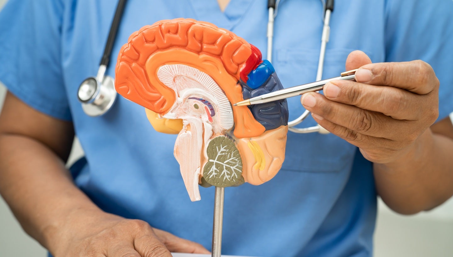 Autobahn’s elunetirom receives FDA fast track designation to treat ...