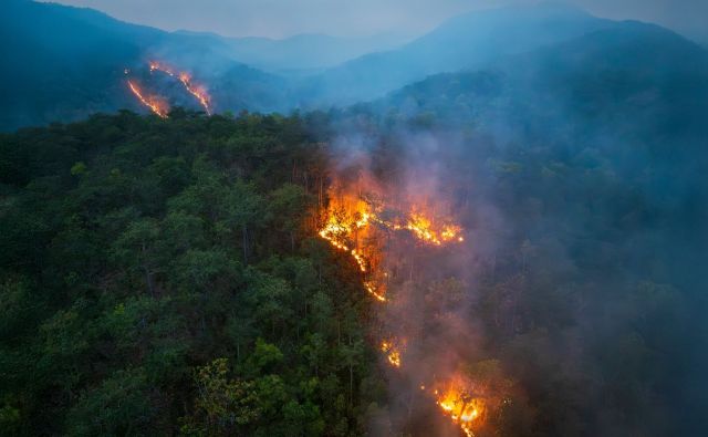 Wildfires may be poisoning drinking water long after the flames are out