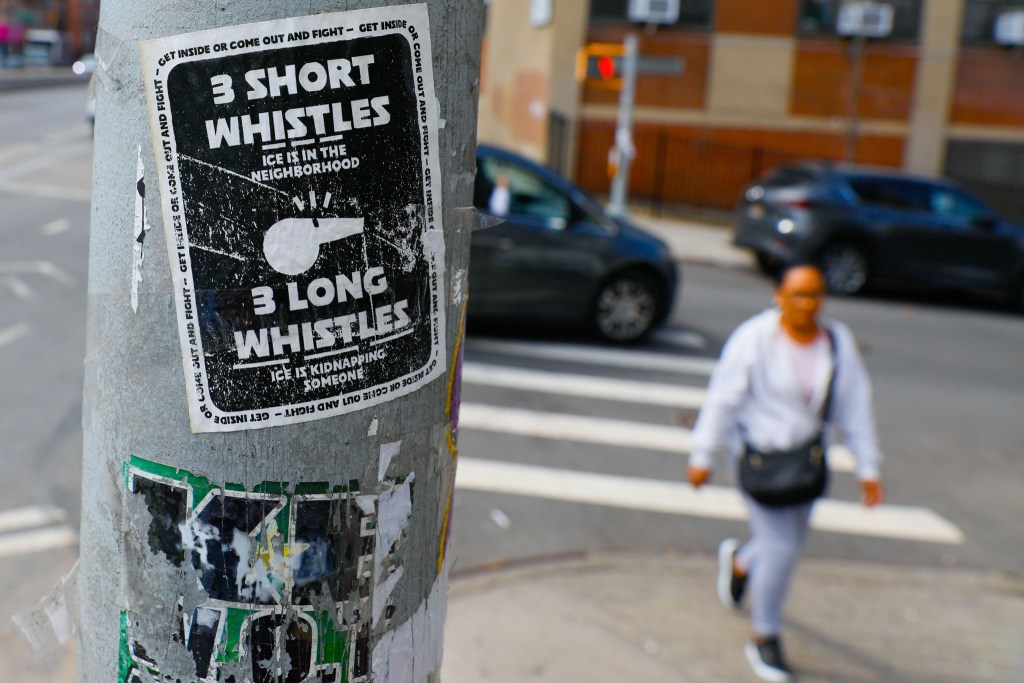 How 'next friend' habeas petitions work for immigrants in ICE custody