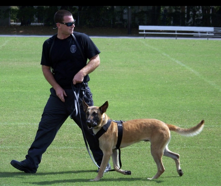 Mount Pleasant Police Department honors retired K-9 Arie after passing