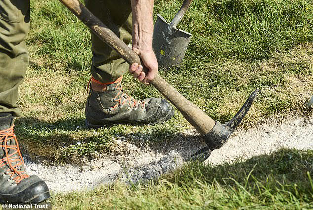 Cerne Abbas Giant gets a makeover! Experts begin the arduous task of re ...